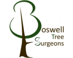 Tree Surgeon in Berkshire